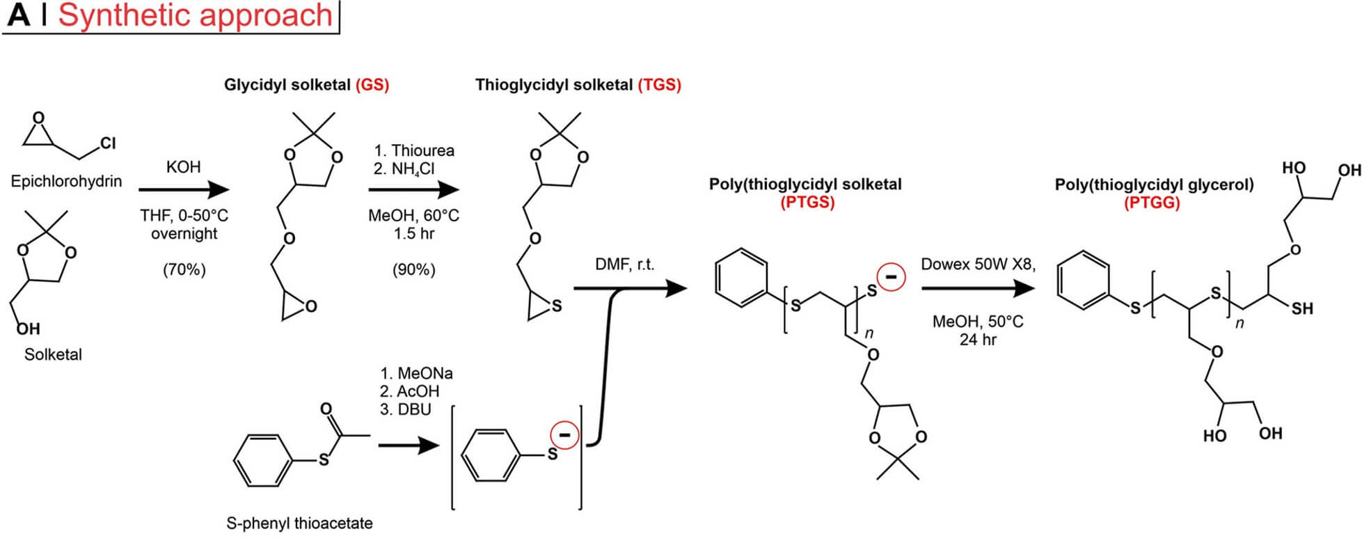 PEGにとって代わる高分子の出現！活性酸素除去ステルスポリマー【 Poly (thioglycidyl glycerol) (PTGG ...